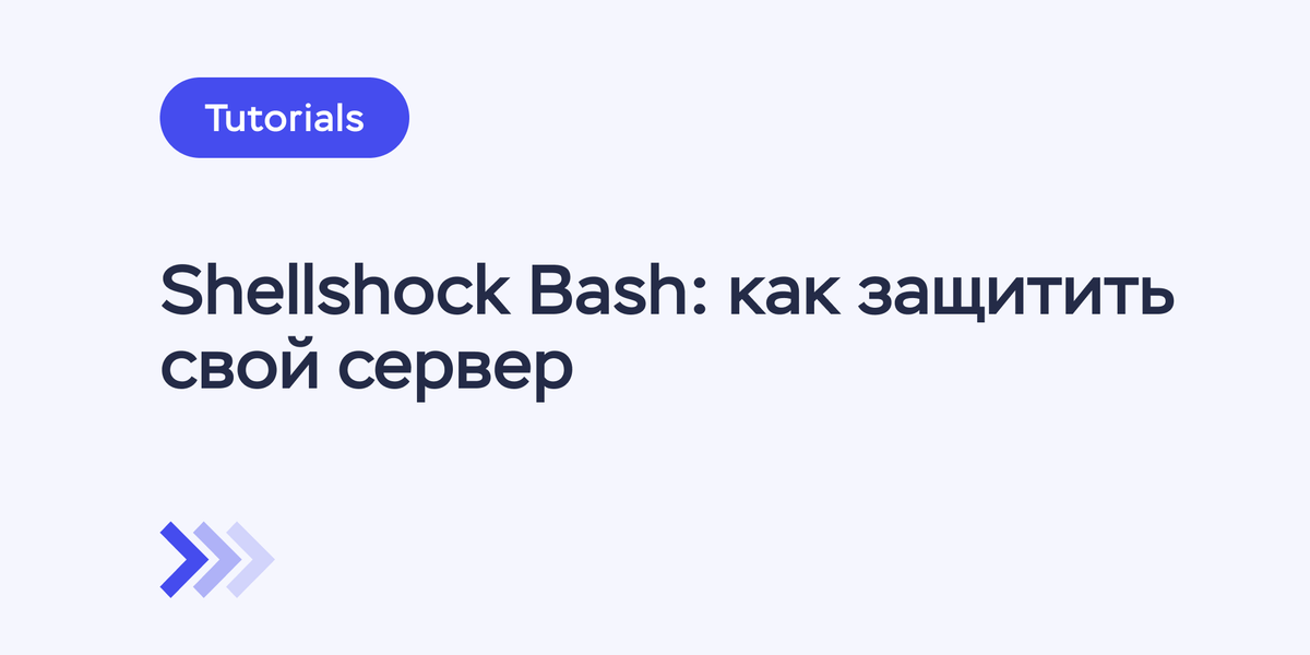 Как защитить свой сервер от уязвимости Shellshock Bash
